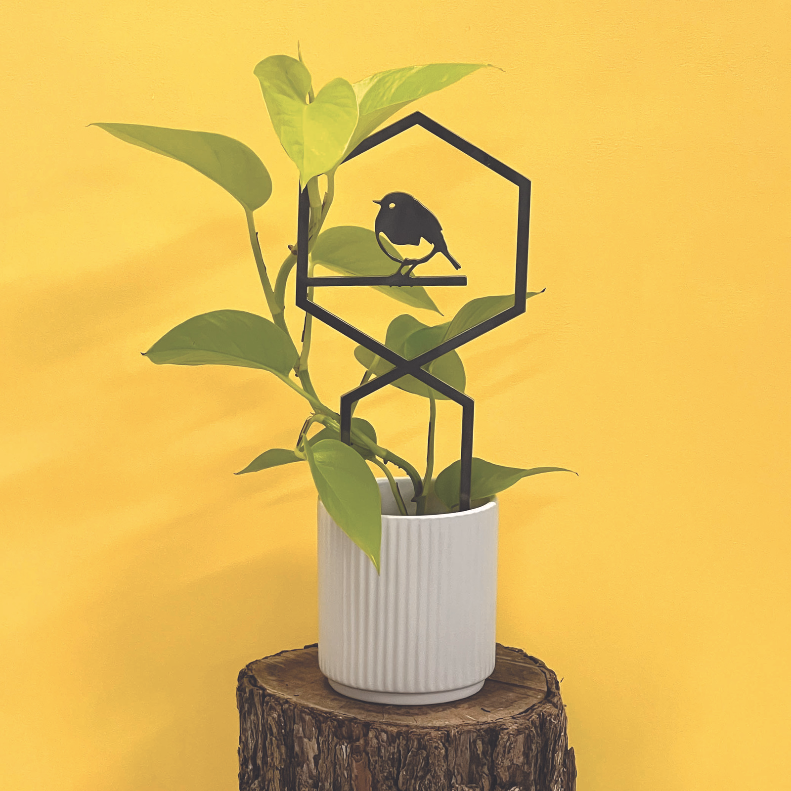 Robin Garden Trellis | Decorative Plant Support | UK-Made Corten Steel ...